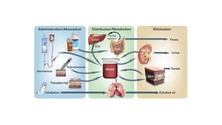 Pharmacokinetics & Pharmacodynamics.pptx