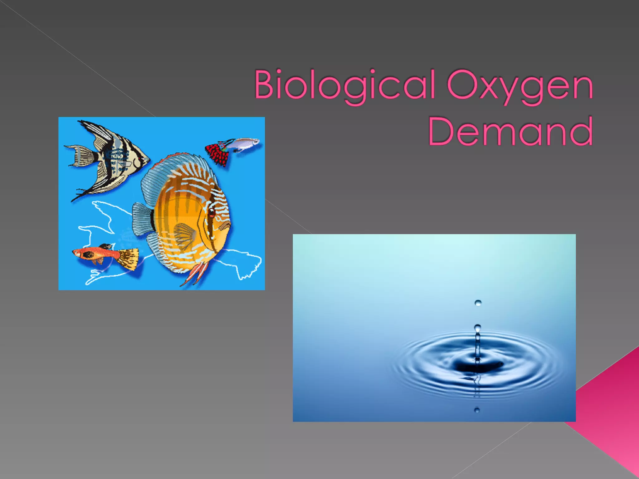 Biological Oxygen Demand | PPT
