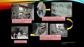 Bod analysis schematic diagram | PPTX