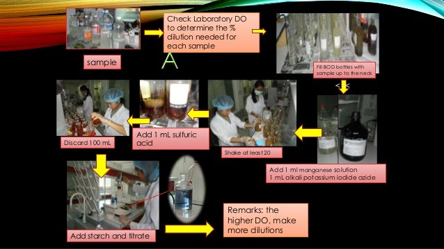 Bod analysis schematic diagram