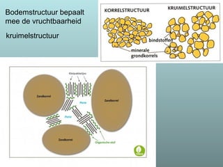 Bodemeigenschappen | PPT