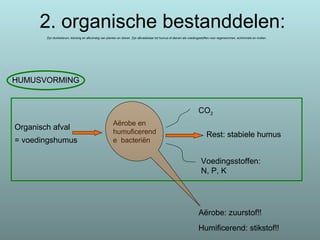Bodemsamenstelling | PPT