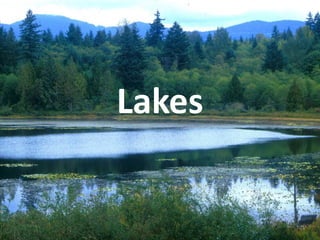 Bodies of Water | PPT