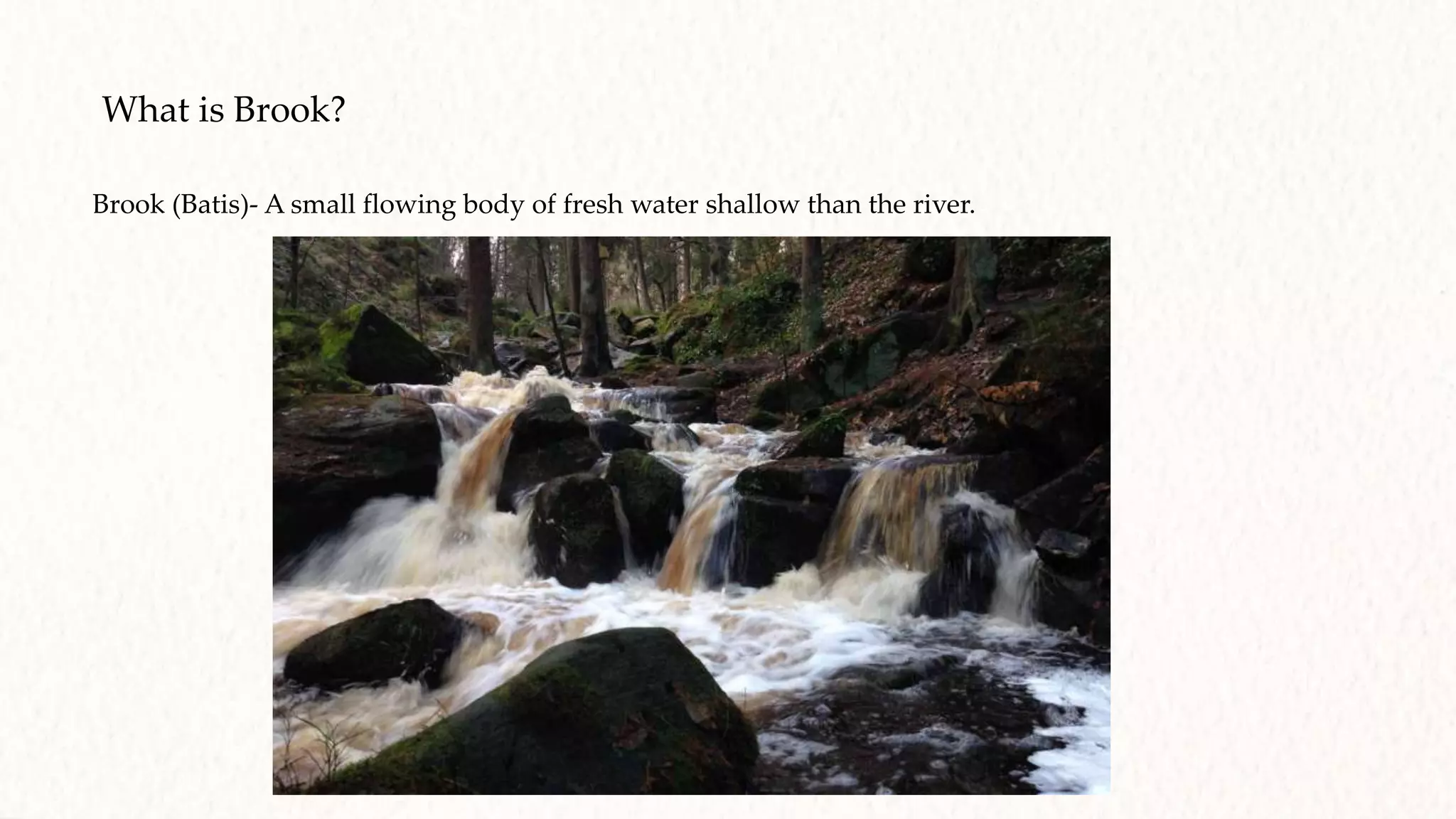 Bodies of water | PPT
