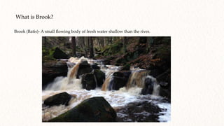 Bodies of water | PPT