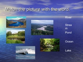 Bodies of water | PPT