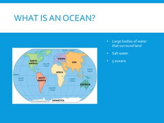 Bodies of water_1 | PPTX