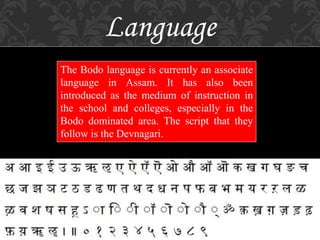 A study of the local tribes of Assam - Bodo under ISA by the students ...