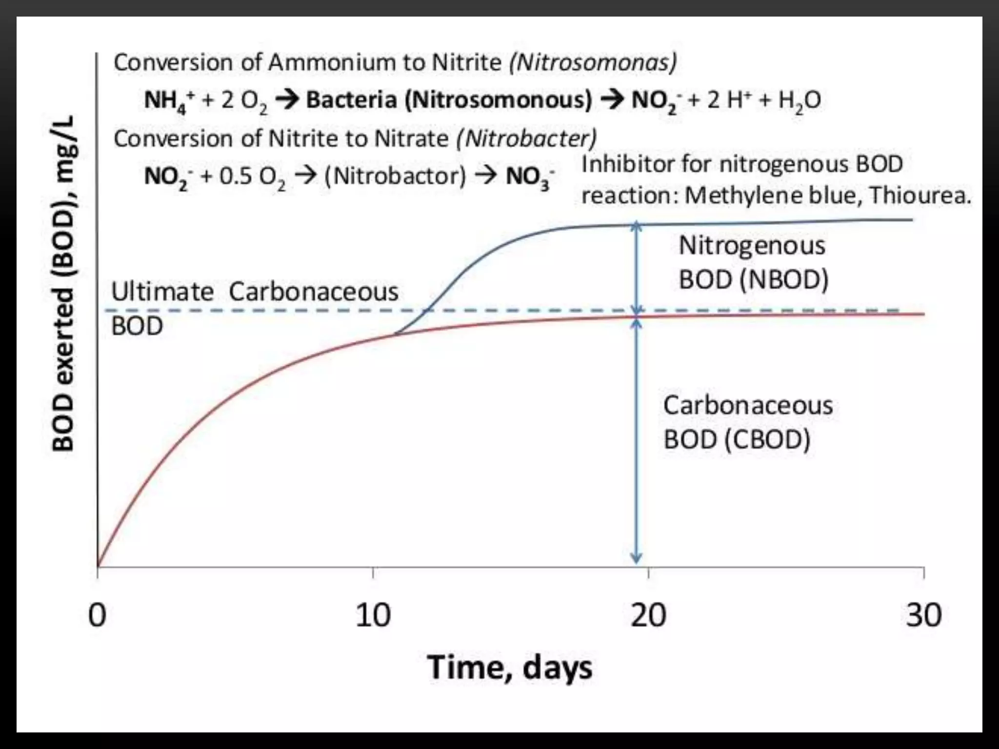 Bod types | PPTX | Chemistry | Science