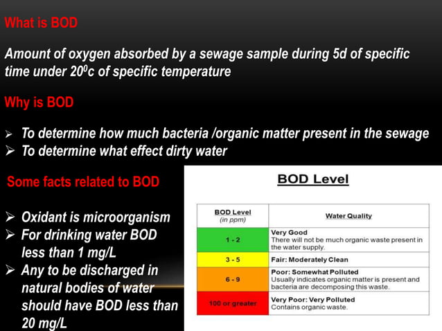 Bod types | PPTX | Chemistry | Science