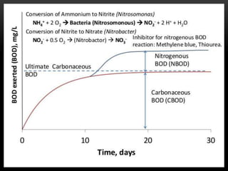 Bod types | PPTX | Chemistry | Science