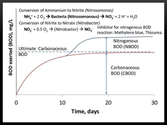 Bod types | PPTX | Chemistry | Science
