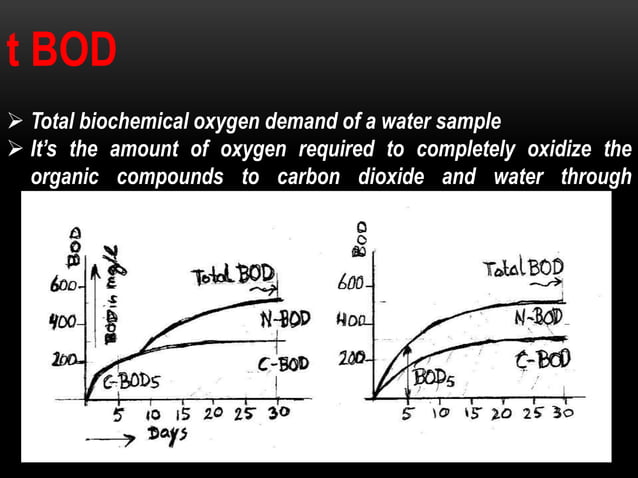 Bod types | PPTX | Chemistry | Science