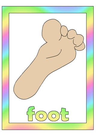 Body flashcards | PPT