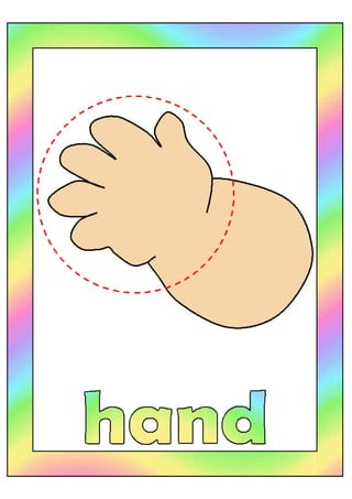 Body flashcards | PPT