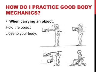 Body-Mechanics.pptx body mechanisms lectyre | PPTX