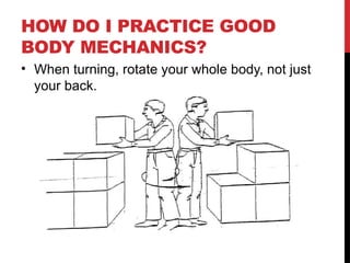 Body-Mechanics.pptx body mechanisms lectyre | PPTX