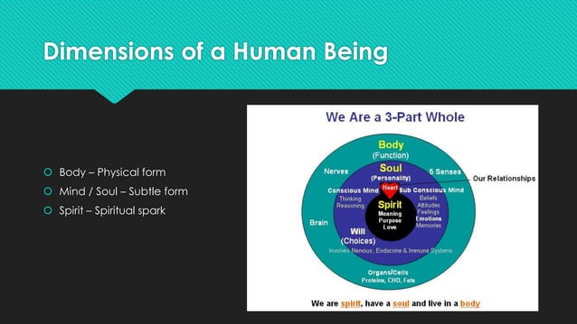 Integration of Body-Mind-Spirit | PDF | Holistic Health | Alternative ...