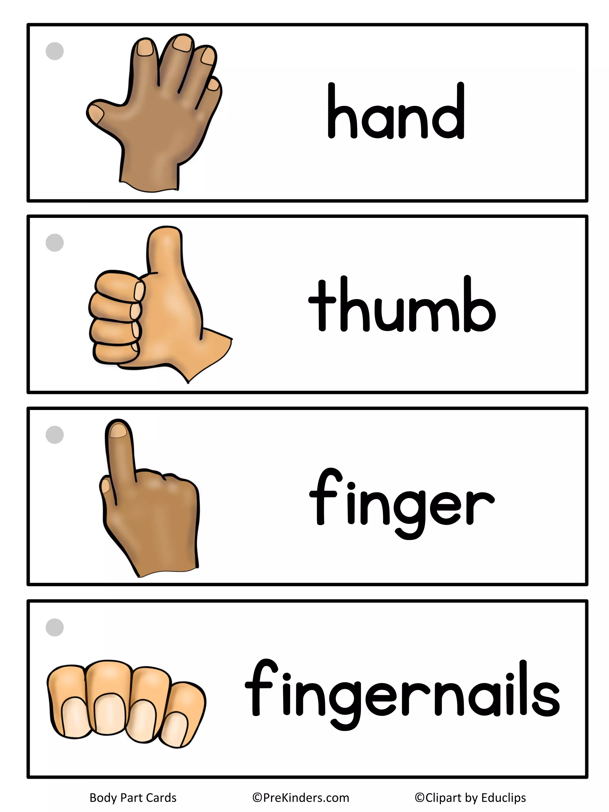 Body part-word-cards | PDF