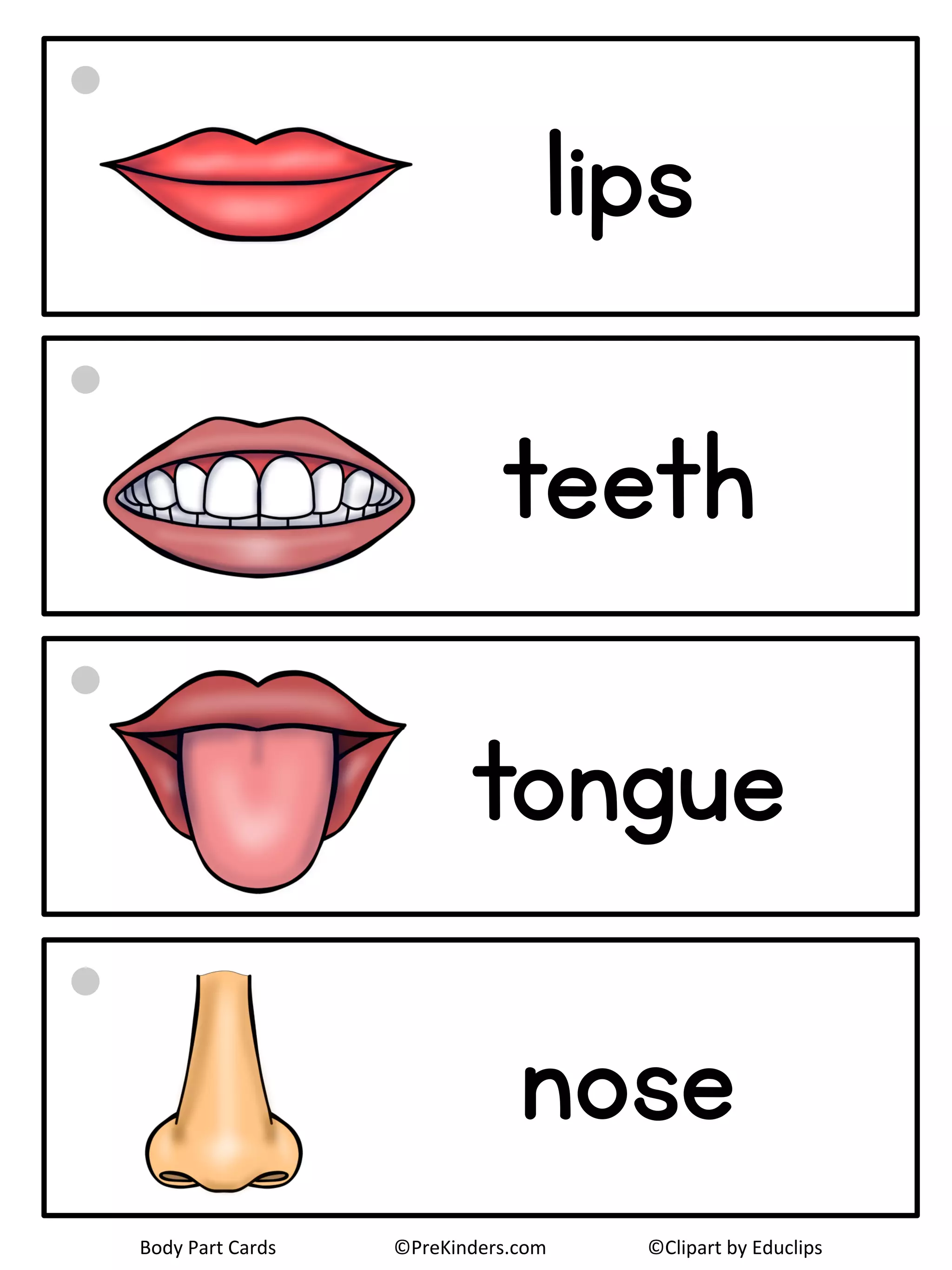 Body part-word-cards | PDF