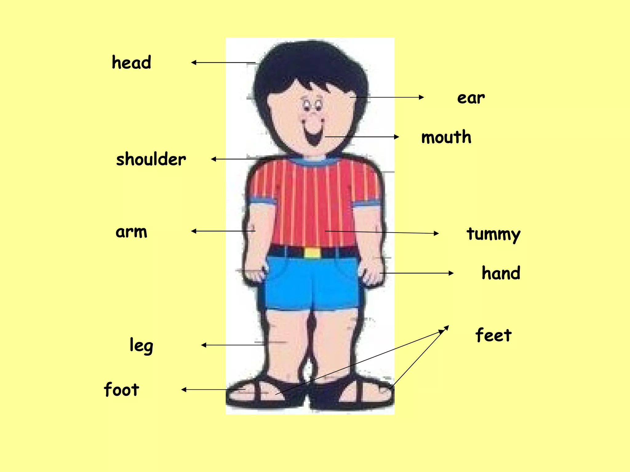 Body Parts | PPS