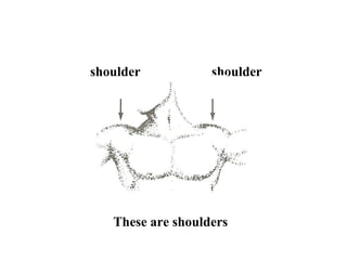Body parts | PPT