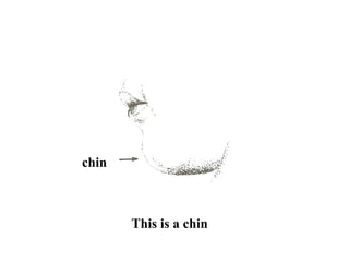 Body parts | PPT