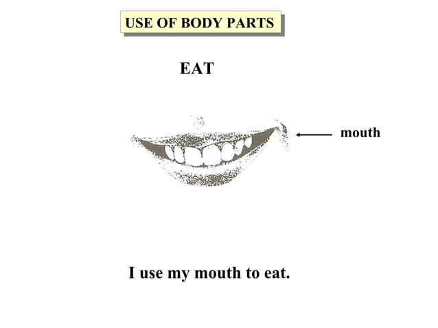 Body parts | PPT