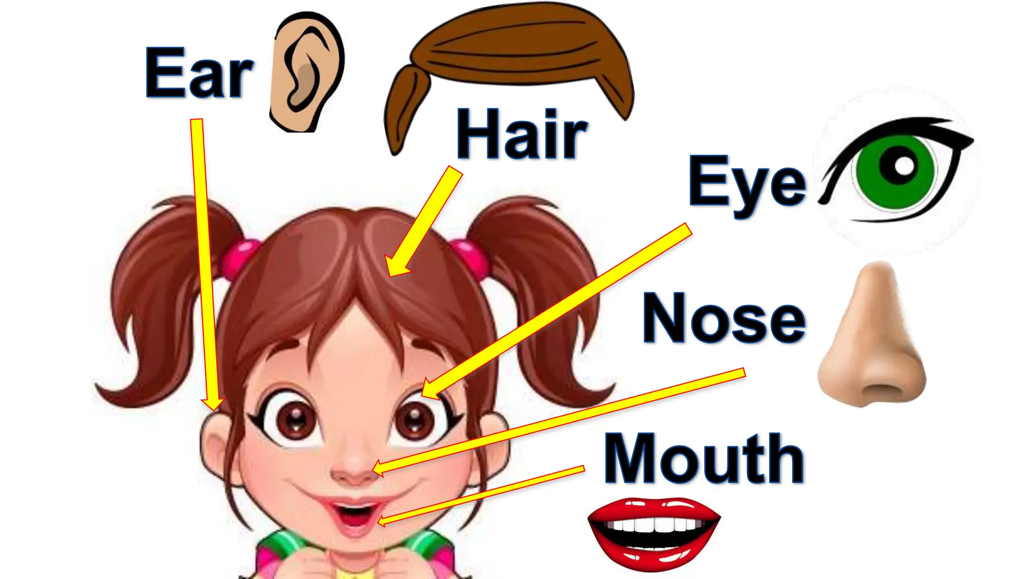 body-parts-activities-with-music-songs-nursery-rhymes-boardga_116884.ppt