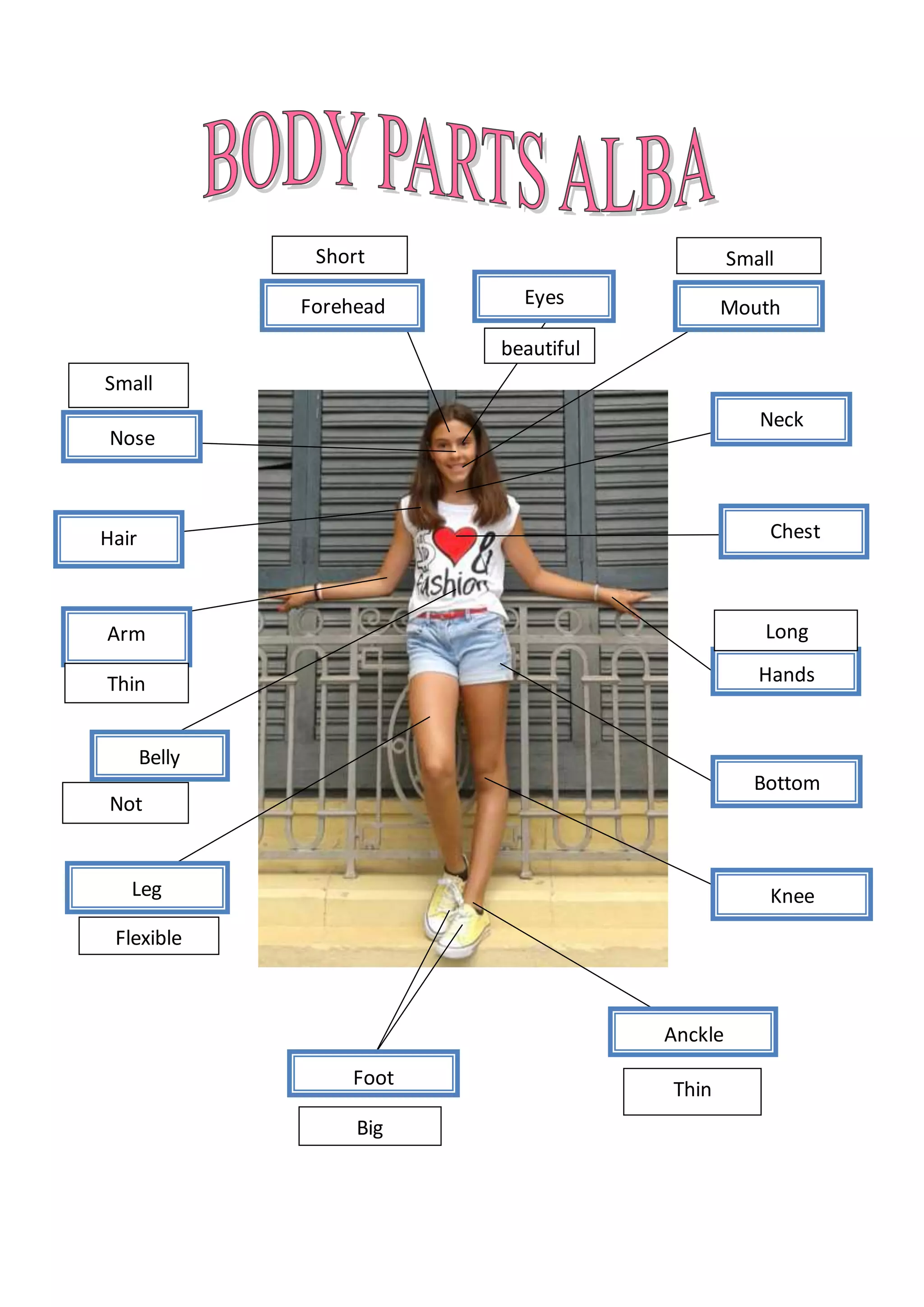 ALBA'S BODY PARTS | DOCX