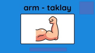 Body-Parts-PPT.pptxWESHOULDKNOW............. | PPTX