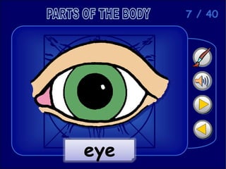 body-parts-ppt-flashcards-fun-activities-games-picture-dictionari_51890.ppt
