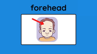 Body parts-ppt body parts last | PPT