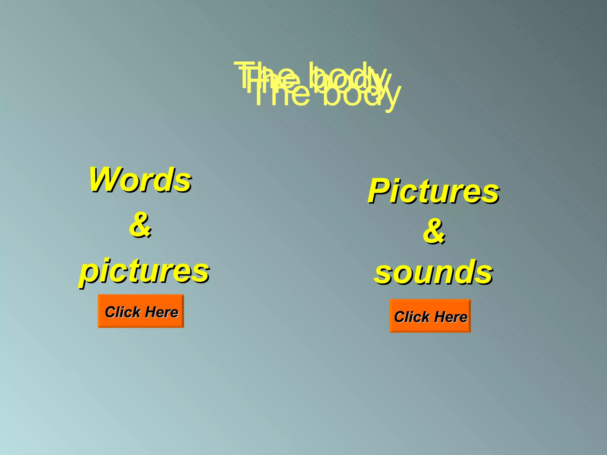 Body Parts - Primary 3 | PPS