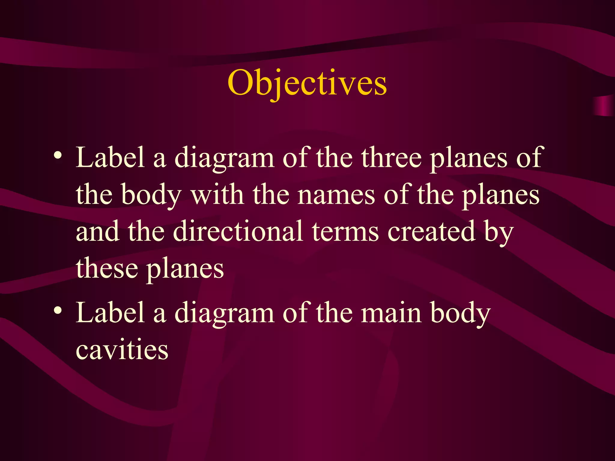 Body planes-directions-and-cavities unit 2 | PPT