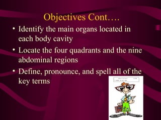 Body planes-directions-and-cavities unit 2 | PPT
