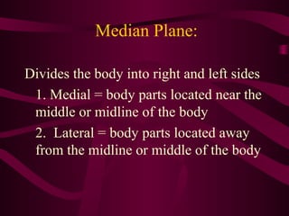 Body planes-directions-and-cavities unit 2 | PPT
