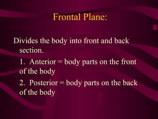 Body planes-directions-and-cavities unit 2 | PPT