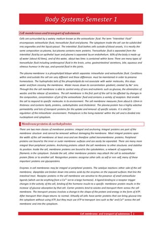 Body Systems: Homeostasis, blood, cardio and respiratory | DOCX
