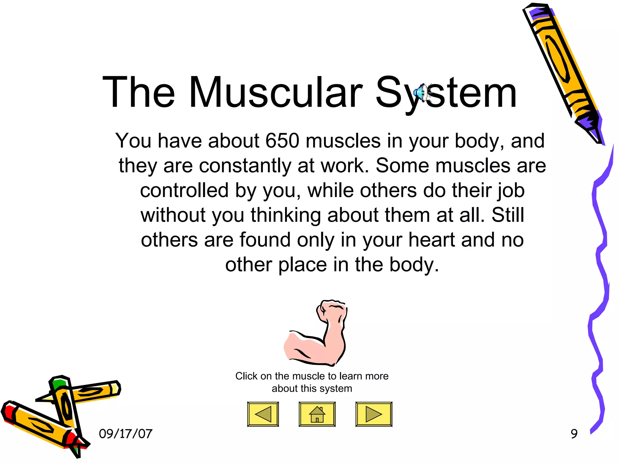 Body Systems | PPT