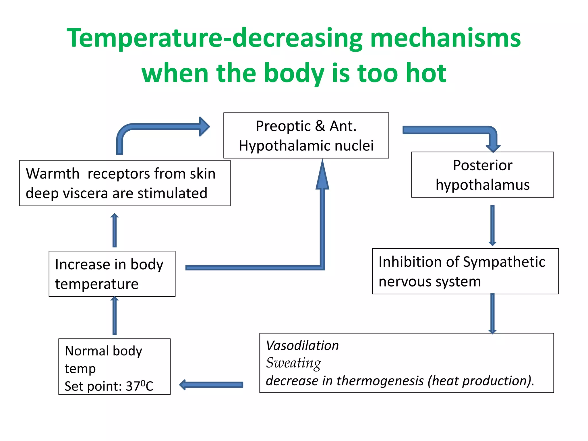 Body temperature and its regulation | PPTX
