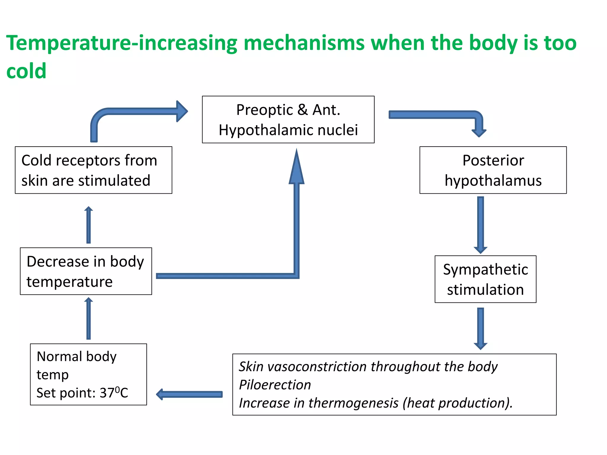 Body temperature and its regulation | PPTX