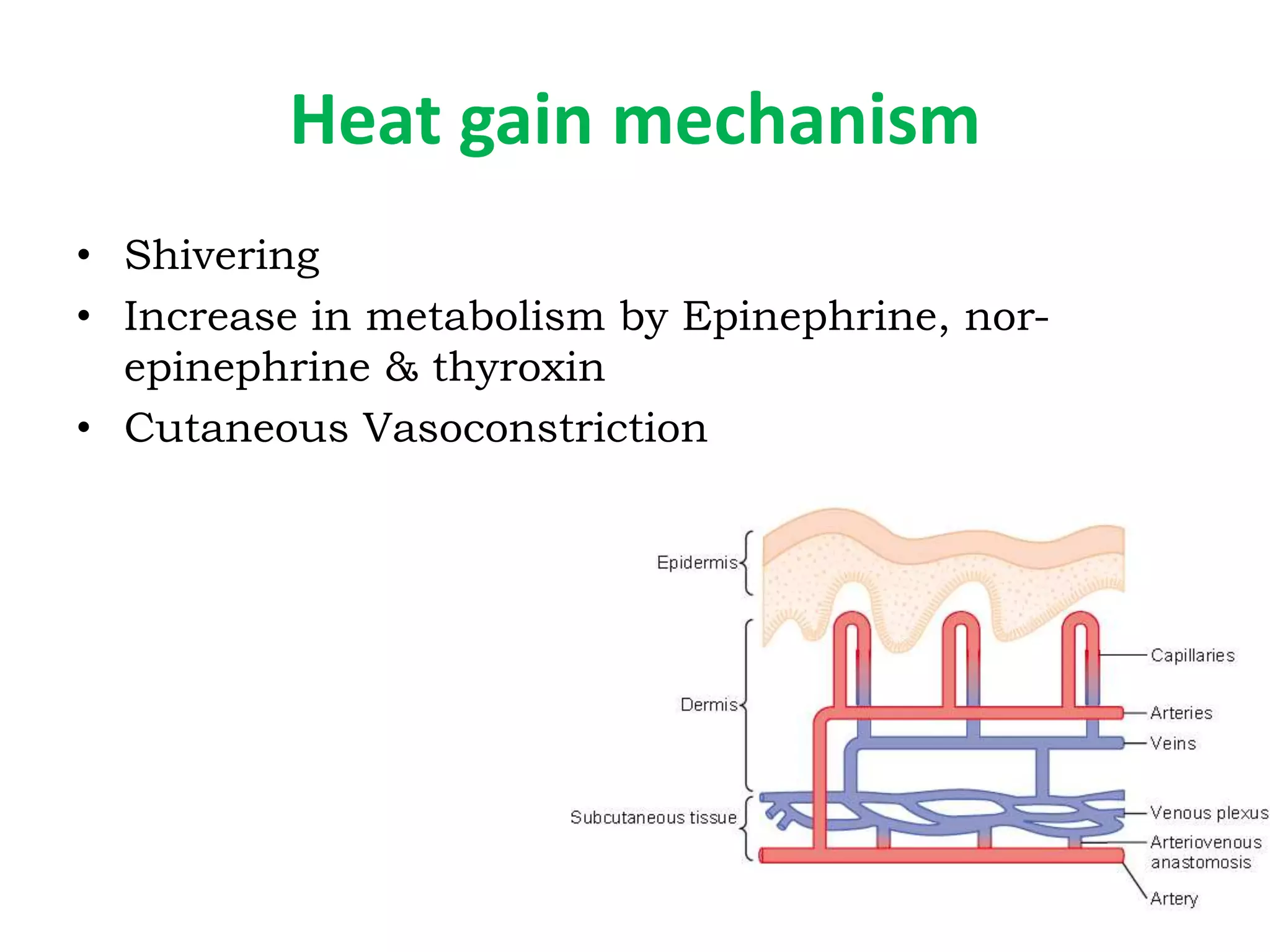 Body temperature and its regulation | PPTX