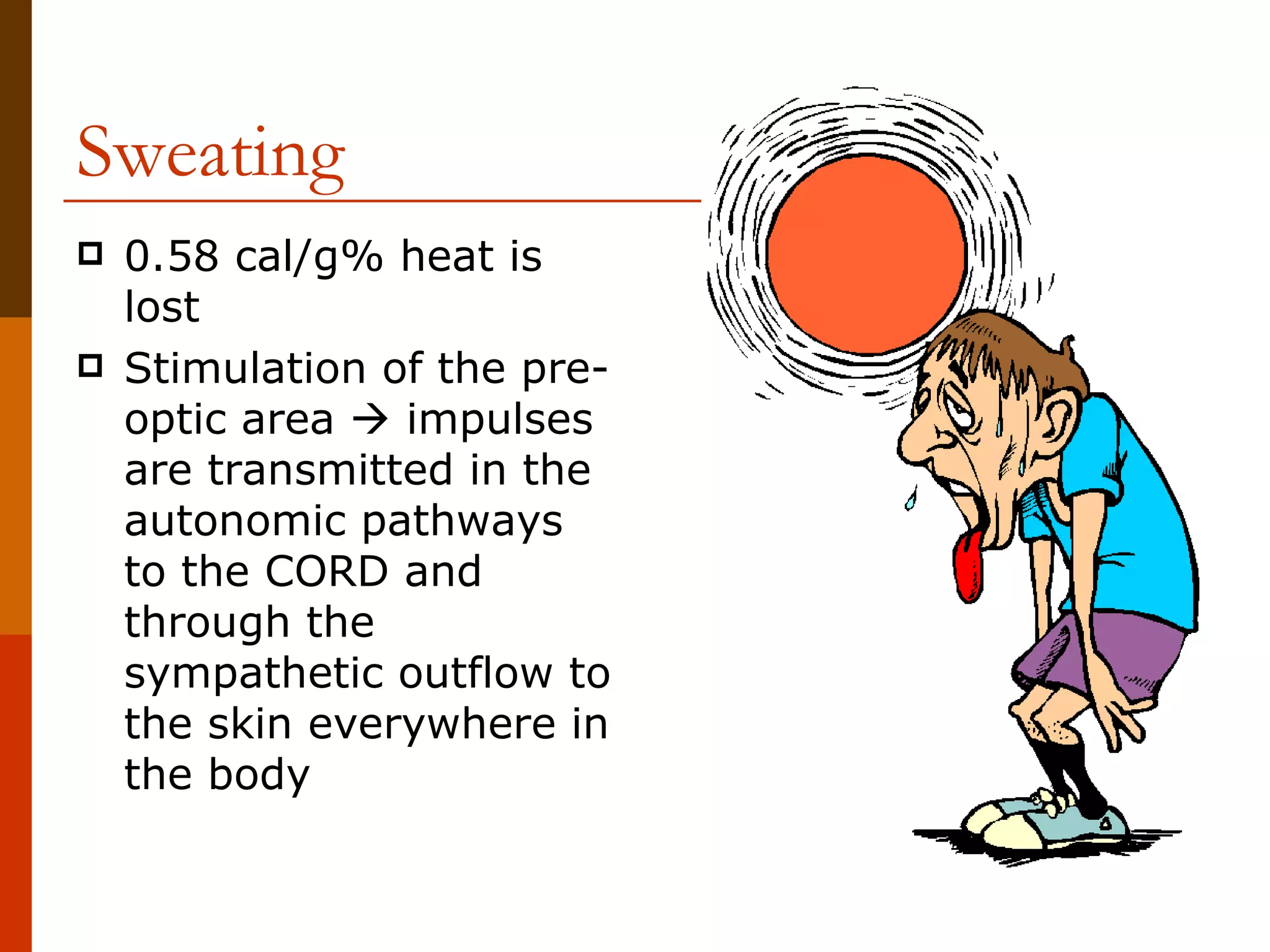 Body Temperature Regulation | PPT
