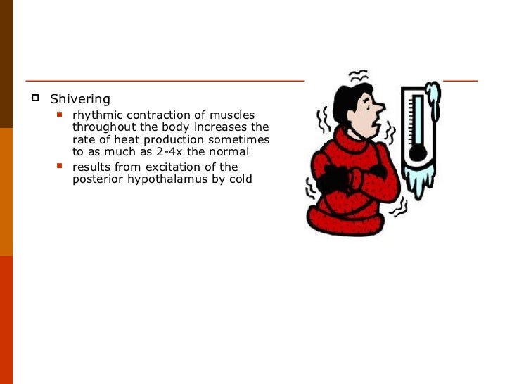 Body Temperature Regulation