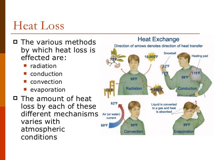 Body Temperature Regulation