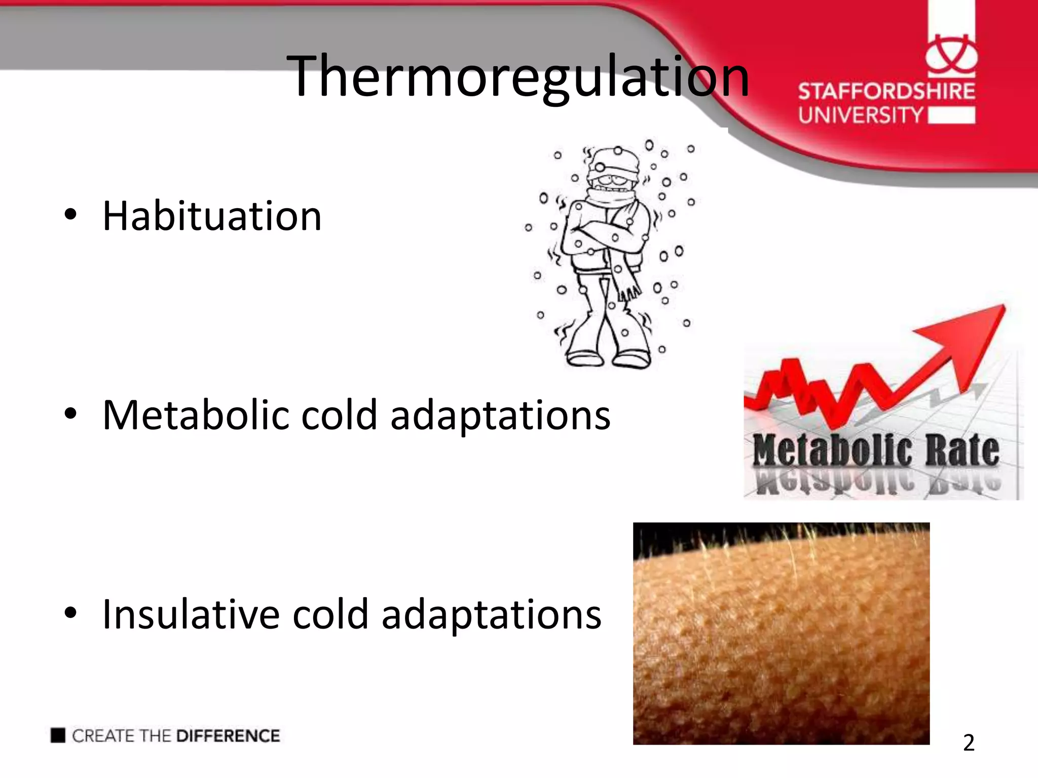 Body adaptations during exercise in extreme cold environment 1 1(1) | PPTX