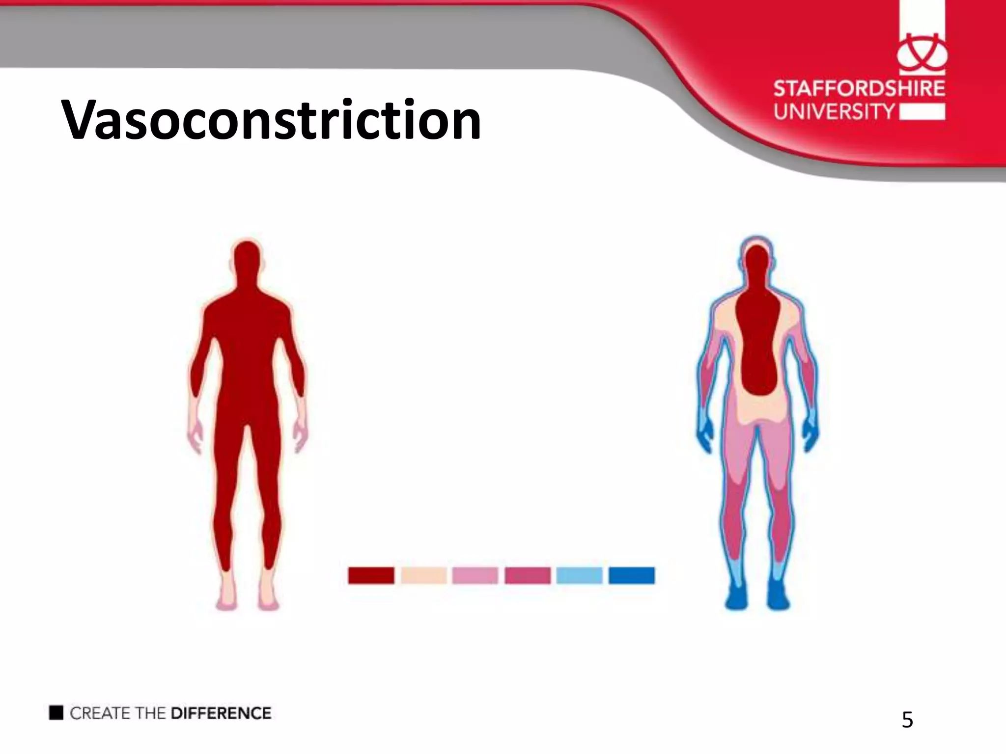 Body adaptations during exercise in extreme cold environment 1 1(1) | PPTX