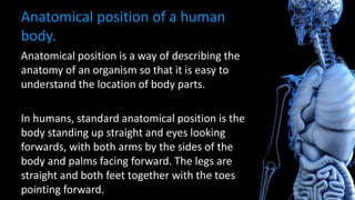 Body as a whole | PPTX