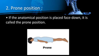 Body as a whole | PPTX